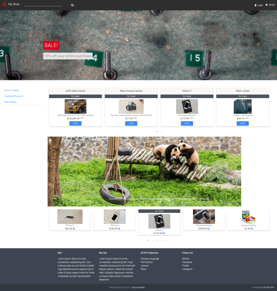 Stunning Visuals with Custom Themes | ScipioERP